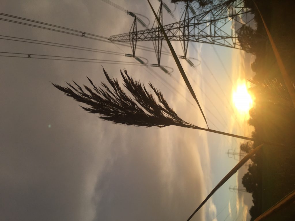 Sunset by Nathan Sheen - Inside Out Cymru