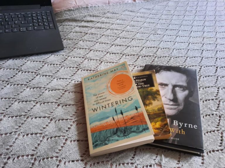 Winter Book by Noleen - Inside Out Cymru